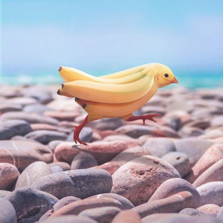 ≡ Ronald Ong Photoshops Animals To Make Them Weird, Because Why Not ...