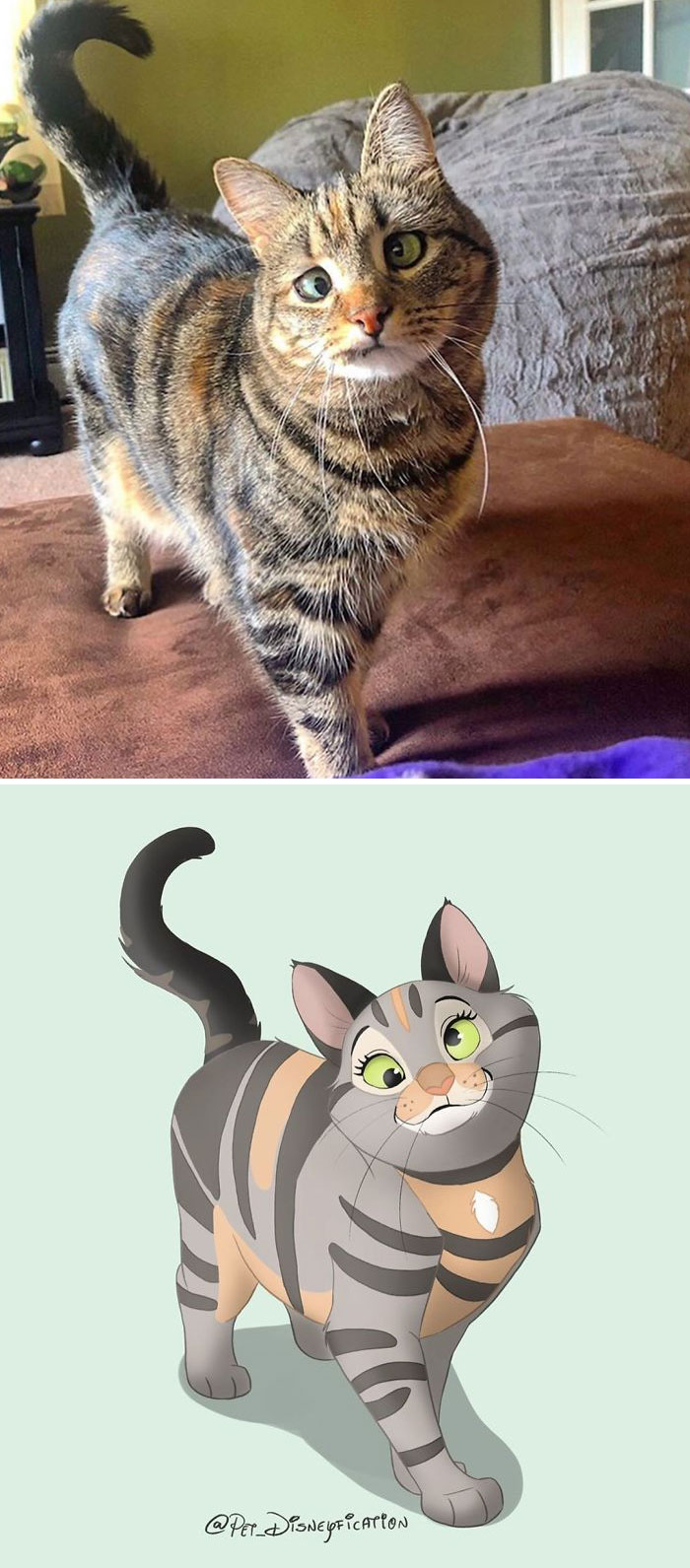 Dutch Artist Turns Pets Into Disneyfied Cartoon Characters