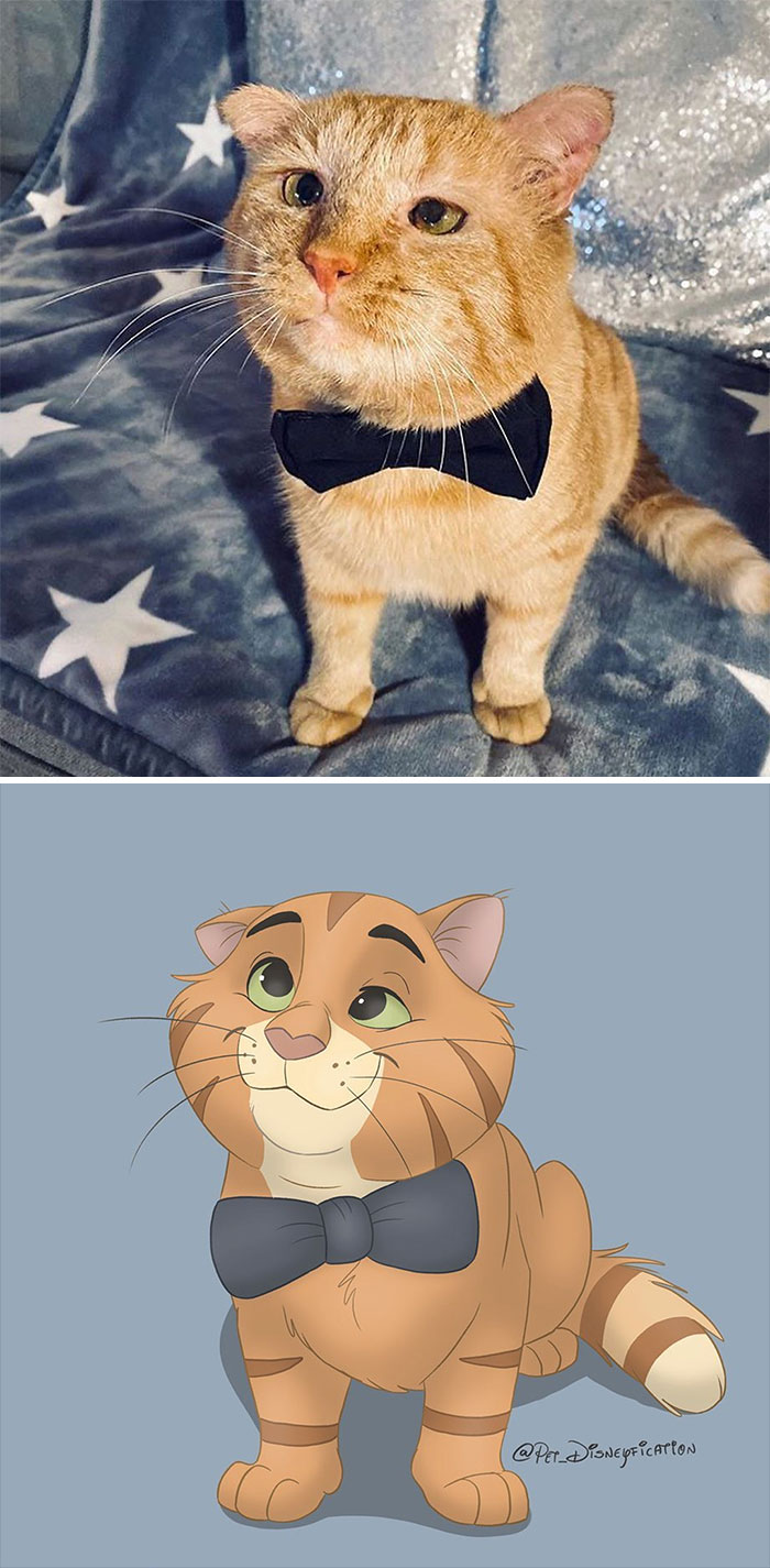 Dutch Artist Turns Pets Into Disneyfied Cartoon Characters