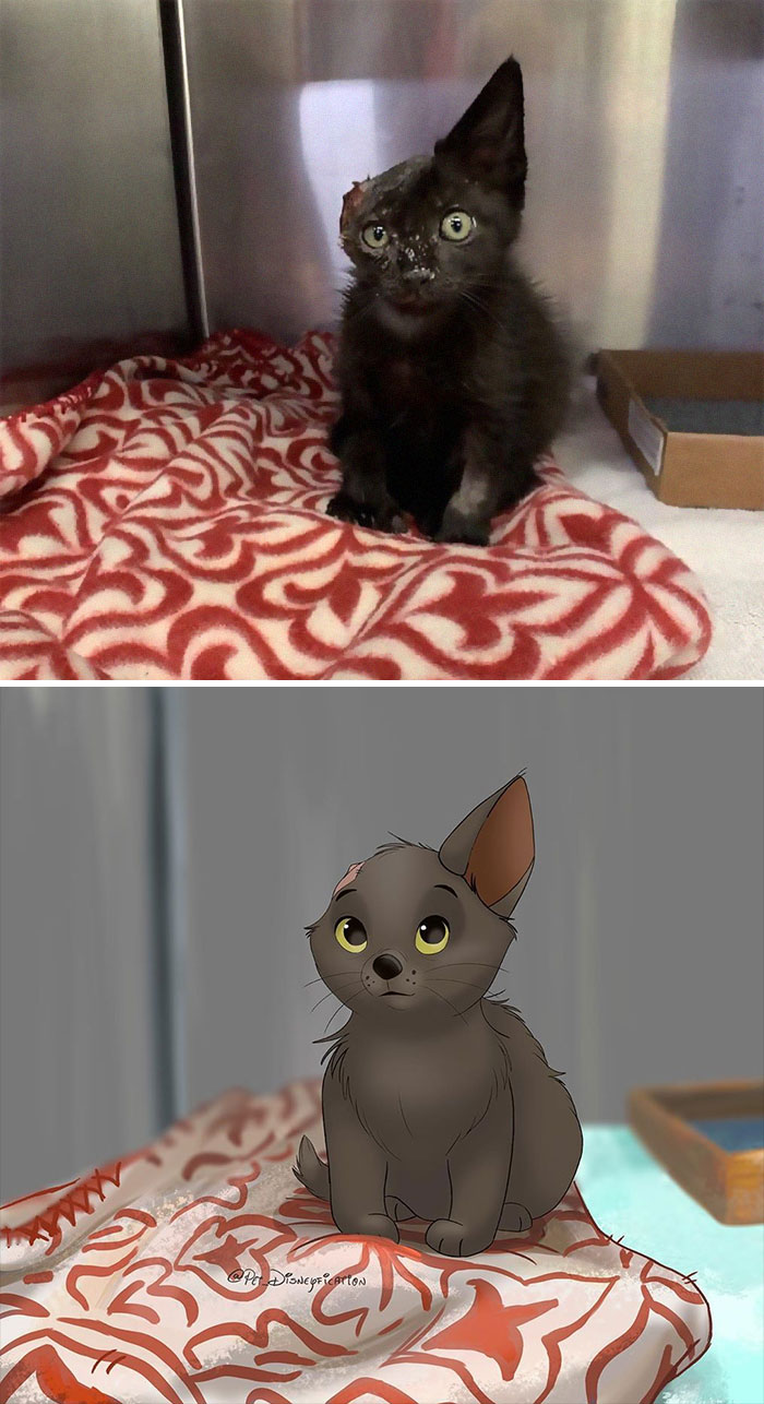 Dutch Artist Turns Pets Into Disneyfied Cartoon Characters