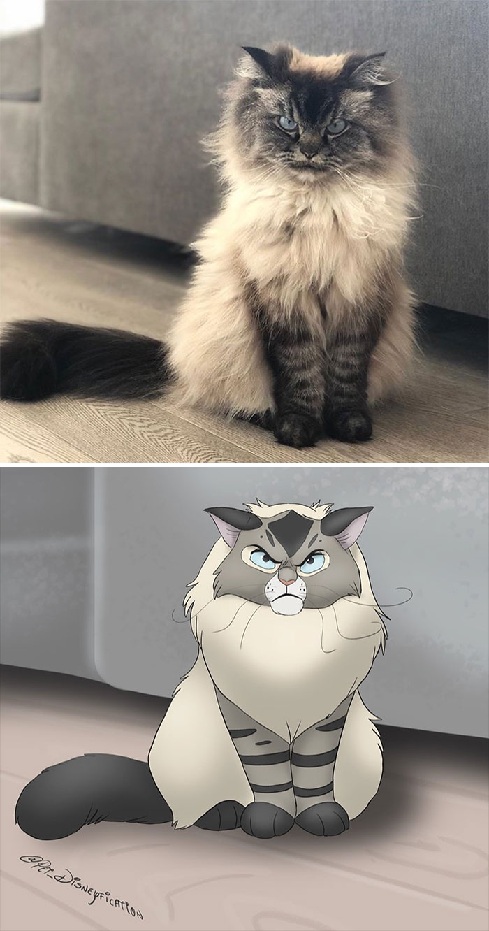 Dutch Artist Turns Pets Into Disneyfied Cartoon Characters