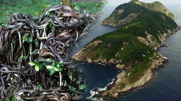 ≡ 7 Unusual Islands Around The World Brain Berries