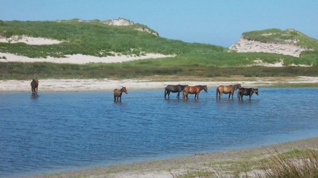 7 Unusual Islands Around The World