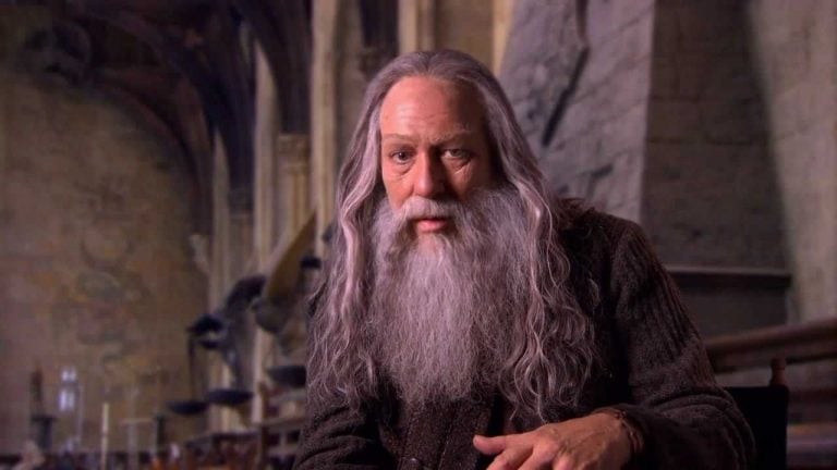 ≡ 8 Most Powerful Wizards from Harry Potter Brain Berries