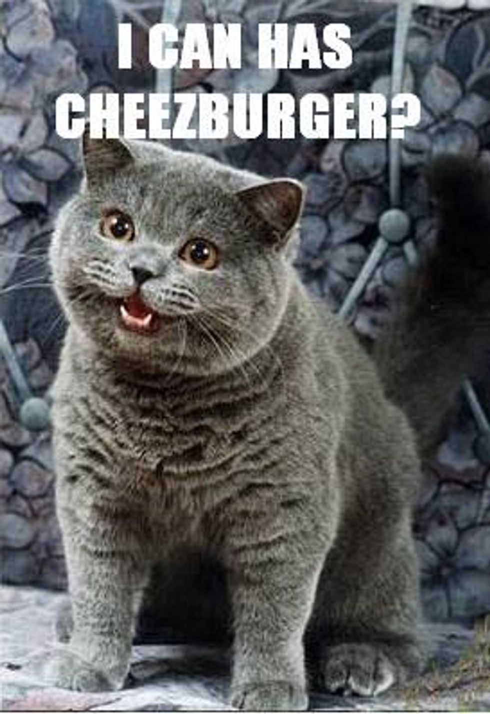 Top 13 Most Viral Memes Of All Time