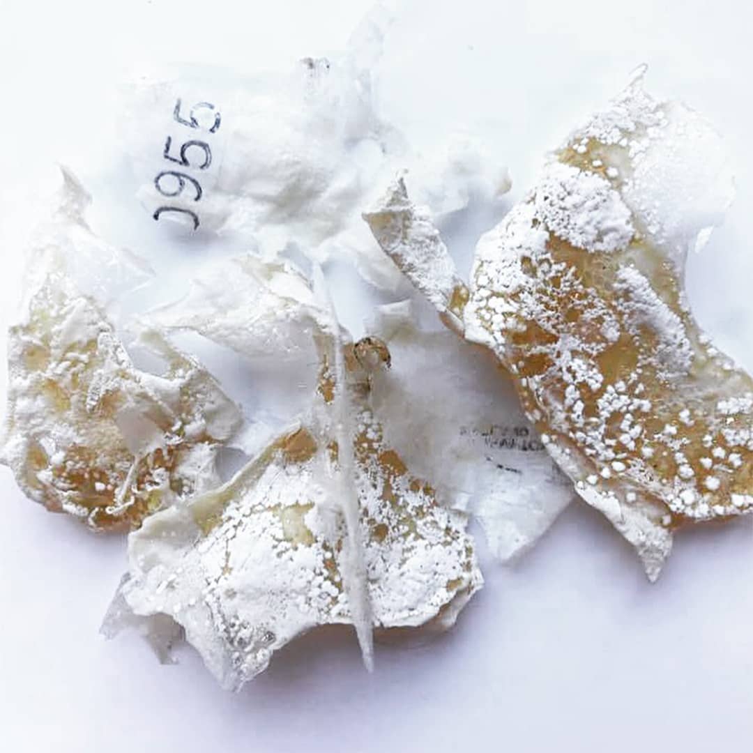 British Designer Uses Human Sweat to Create Jewelry and Accessories