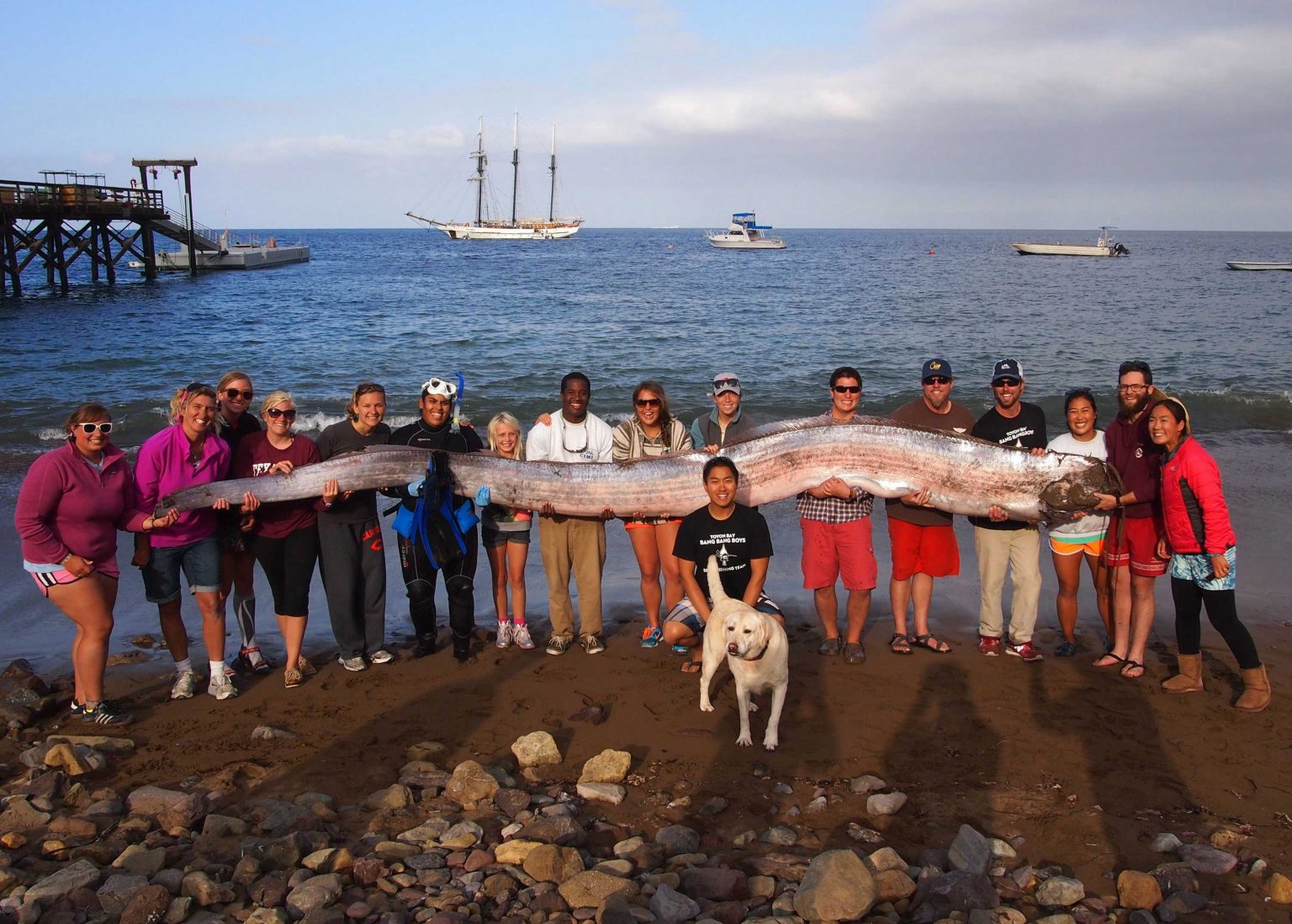 10 Largest Creatures Ever Caught By Fishermen