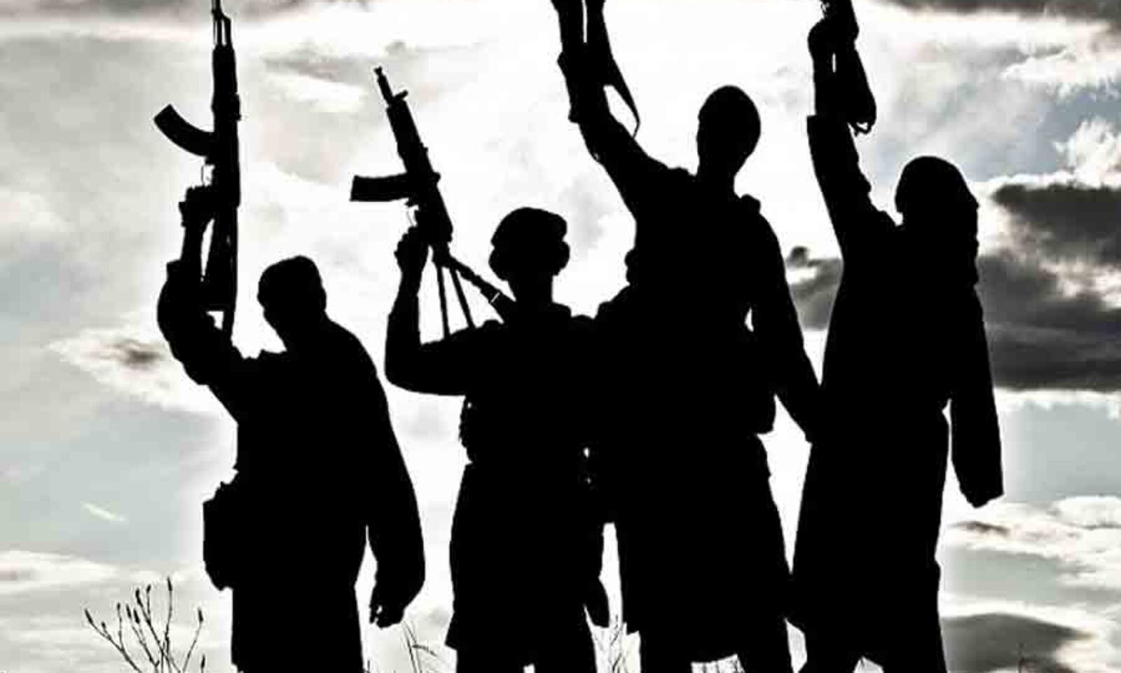 ≡ 7 Things To Know About the Taliban Brain Berries