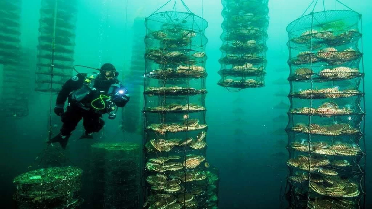 9 Most Bizarre Farms on the Planet