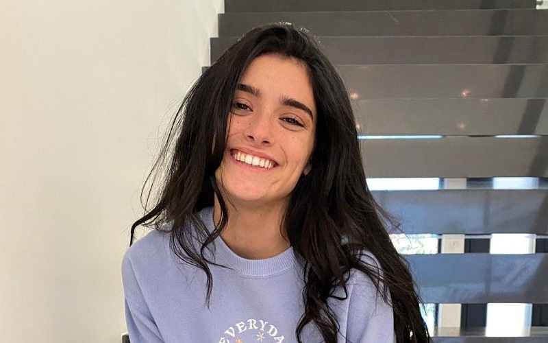 ≡ As top 10 influencers de TikTok Brain Berries