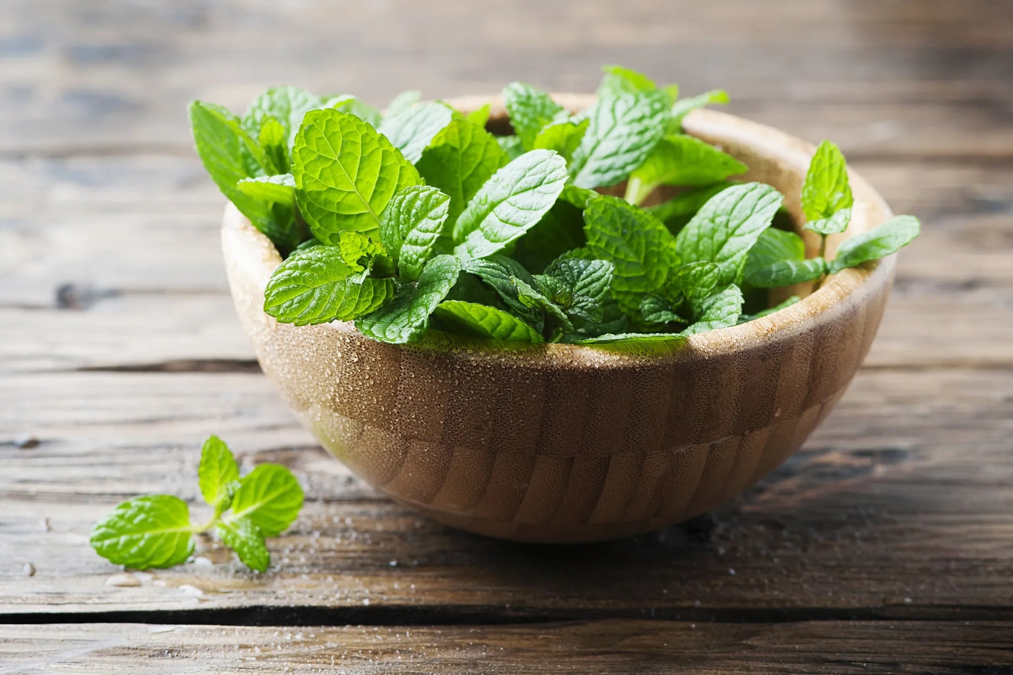 ≡ 10 Foods To Help Reduce Bloating Brain Berries