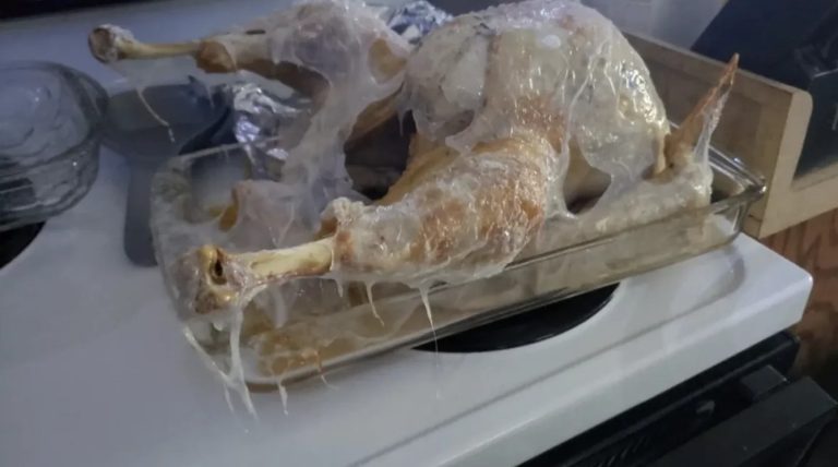 15 Situations Where Bad Luck Made Things Funnier