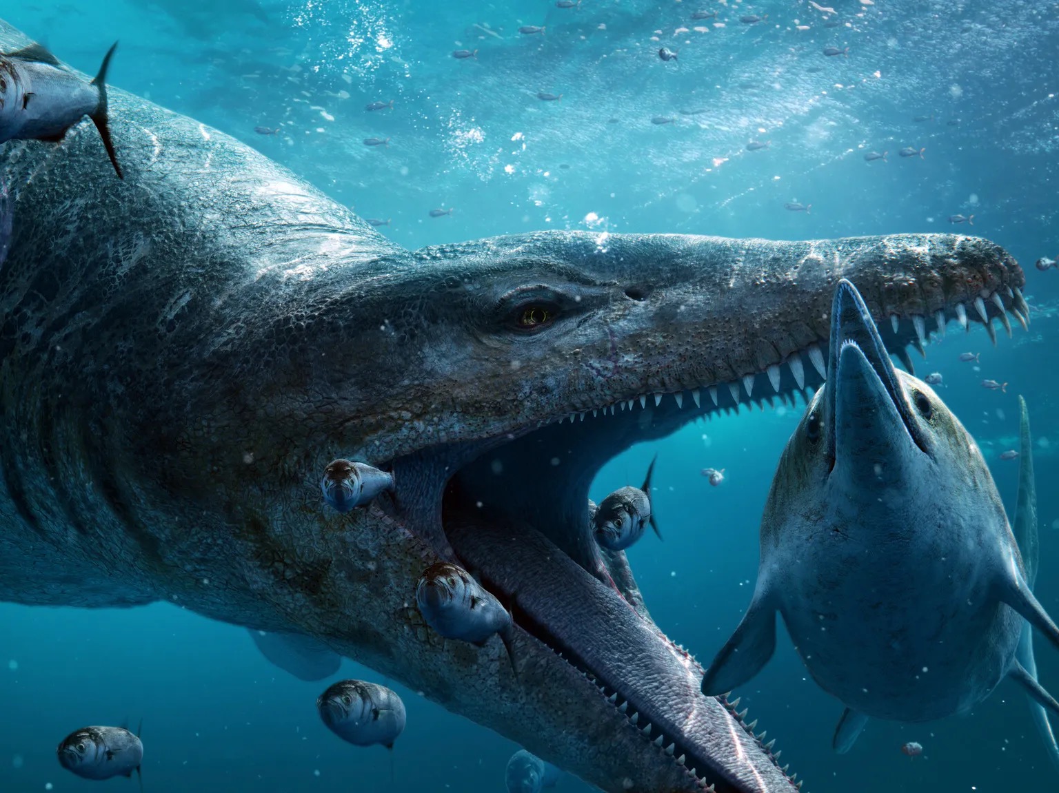 Huge Skull of a Prehistoric Sea Monster Discovered in the UK