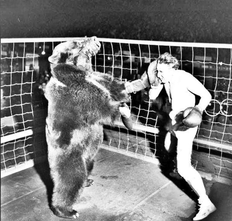 15 Fascinating Facts About Boxing!