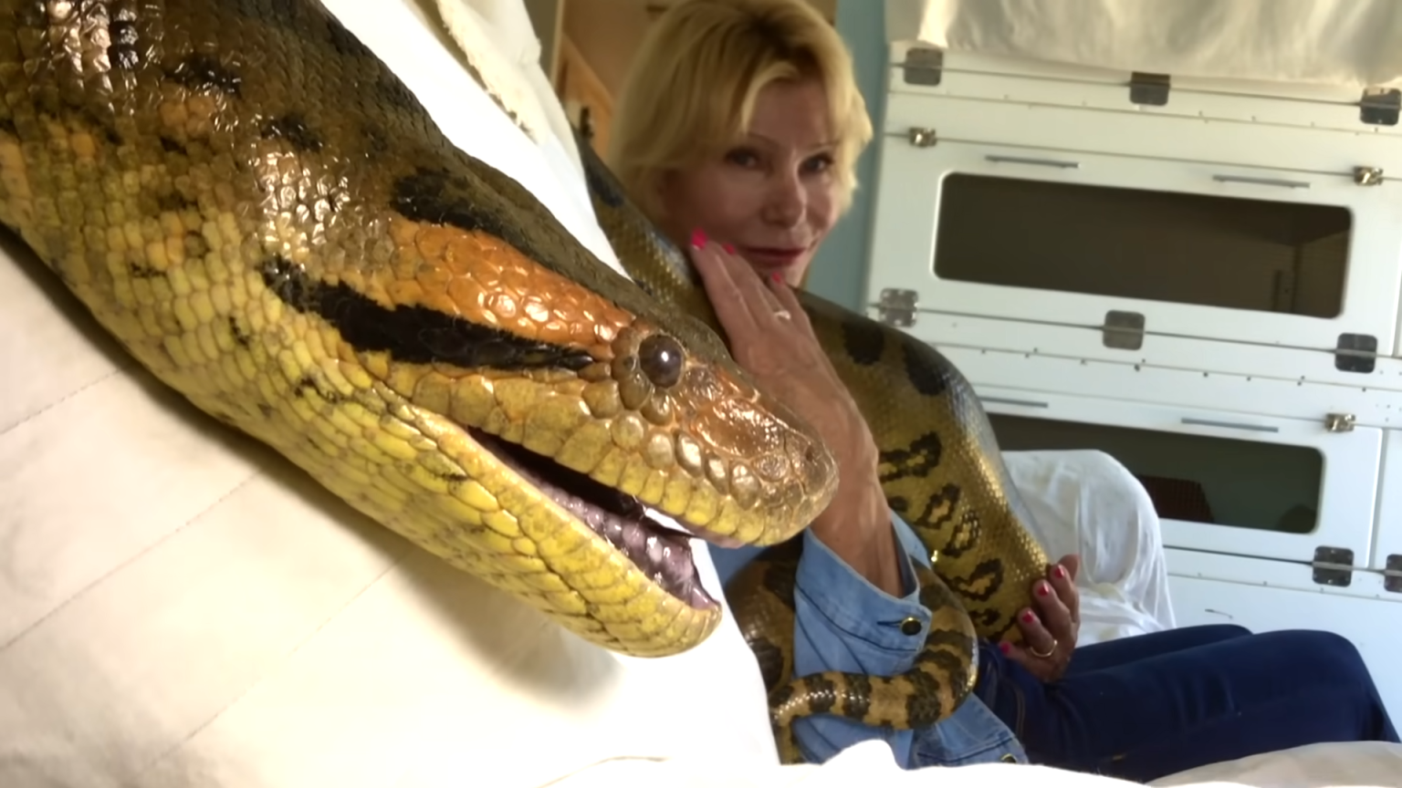 The Truth About Anacondas: Can They Really Swallow a Human Whole?