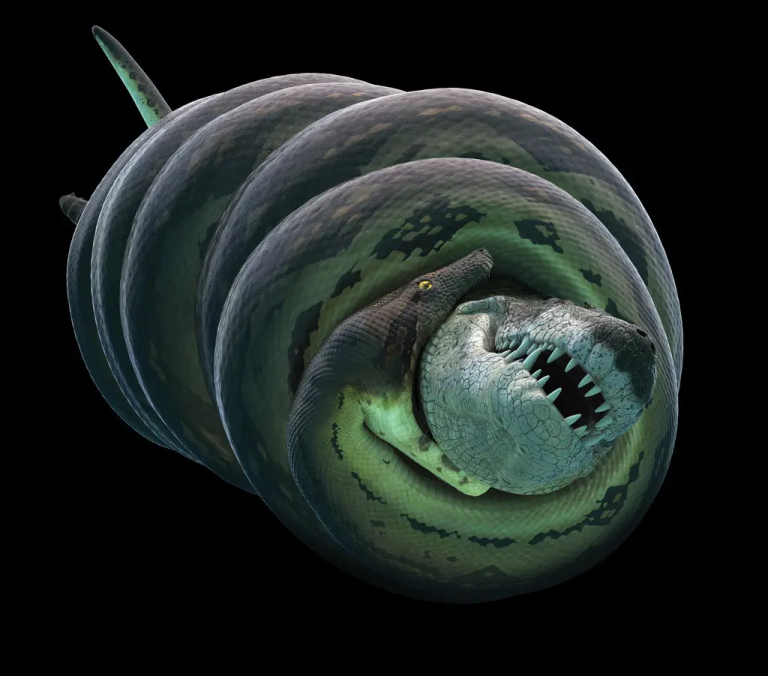 The Science of Super-Sized Snakes: Why Do Some Species Grow So Big?